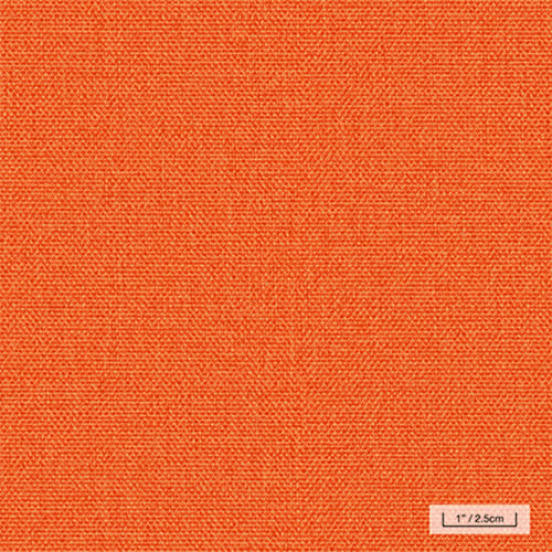 Allermuir - Delite